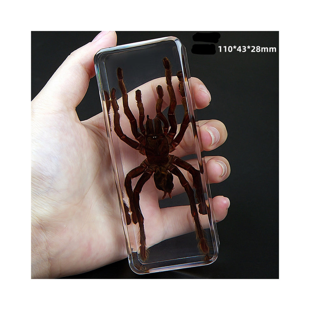 Jumbo Insect Animal Spider Scorpion Tarantula Beetle Butterfly Turtle ...