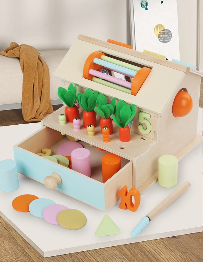 Montessori Multi Activities Geometric Shape Sorting Box Toddler Fine M ...