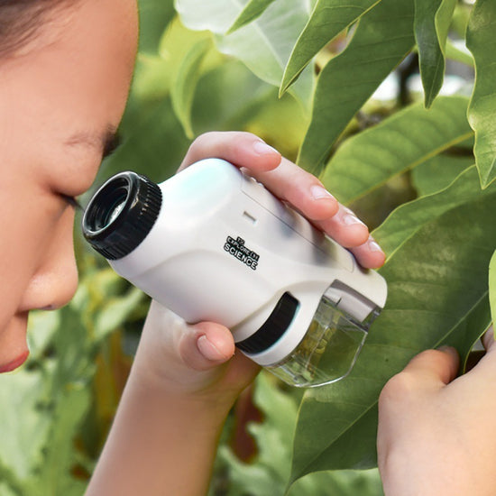 Kids children nature explorer handy electric Microscope – HAPPY GUMNUT
