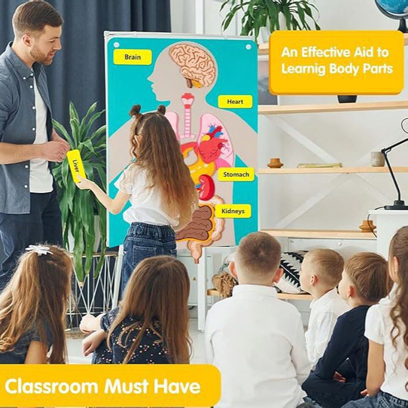 Portable Felt Body Parts and Organs Learning with Flash cards Life Ski ...