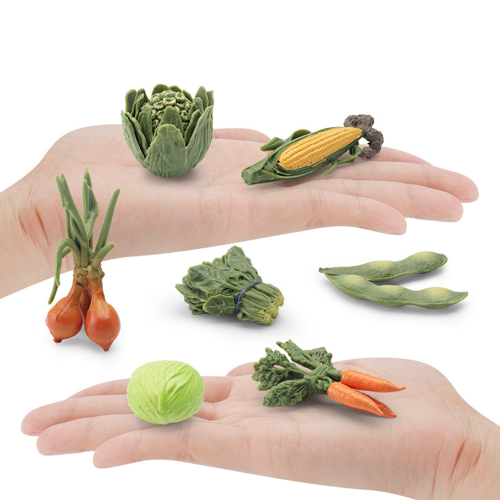 Fruit and Vegetables Figurines Model Toy for Kindergarten Life Cycle B ...
