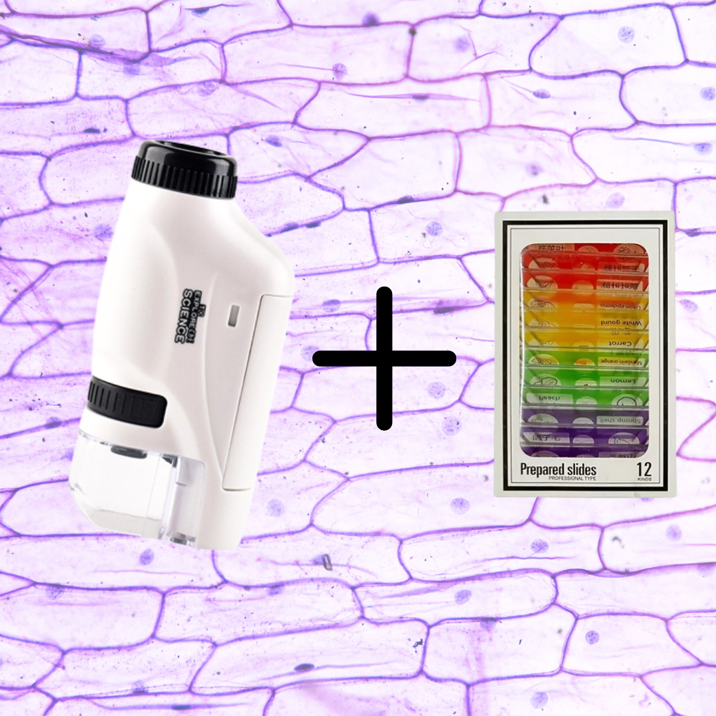 Kids children nature explorer handy electric Microscope – HAPPY GUMNUT