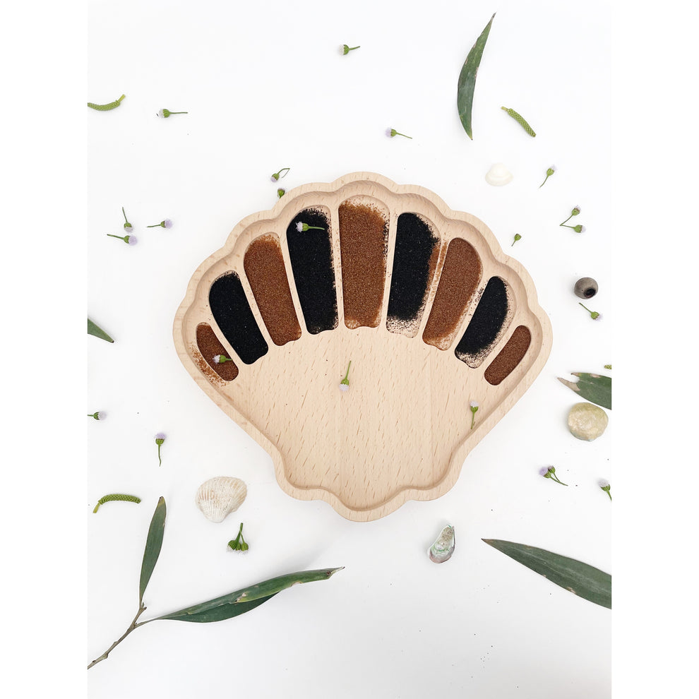 Wooden Seashell Sorting Tray – HAPPY GUMNUT